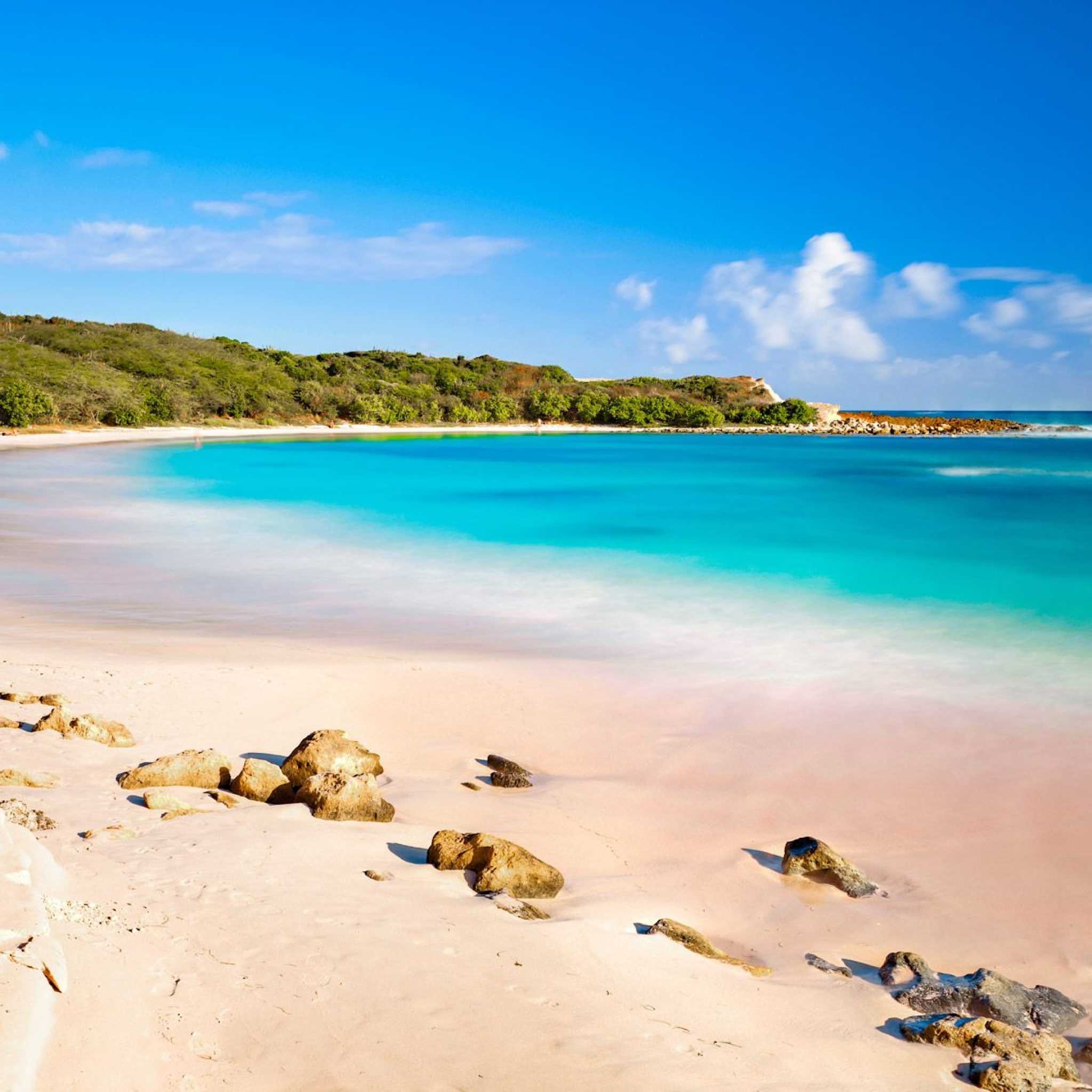 Sun, Sand, and Splendor: Antigua’s Top 10 Most Breathtaking Beach ...