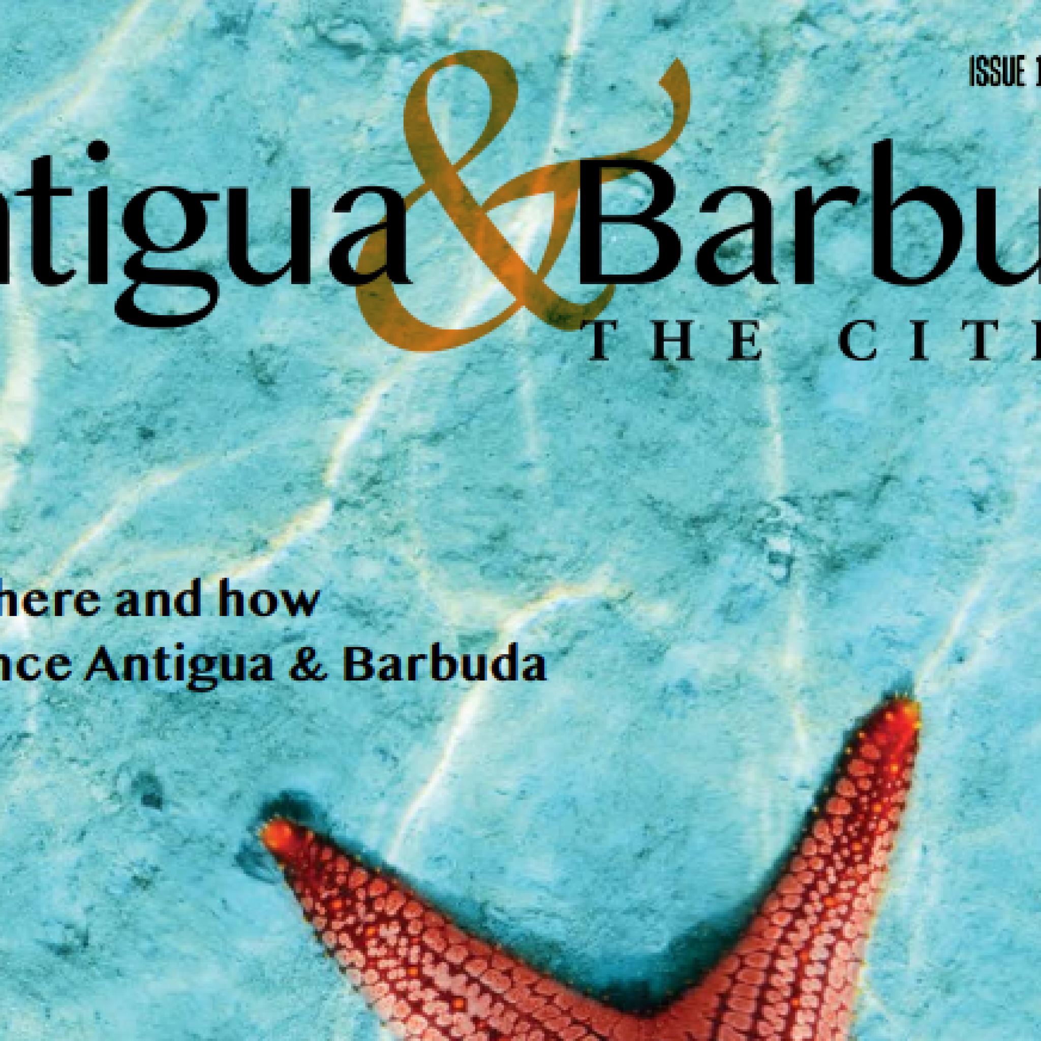 The Music of Antigua: A Cultural Rhythm That Defines the Island – Book ...